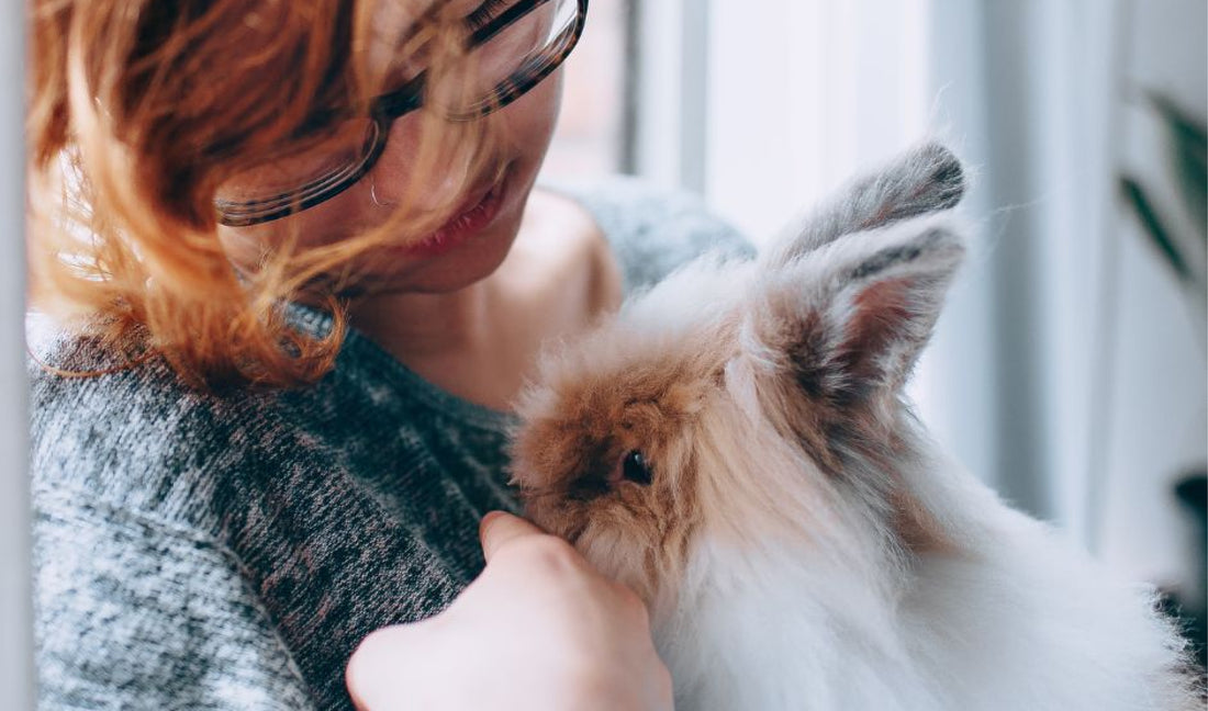 Rabbits Australia | Bunnies Australia