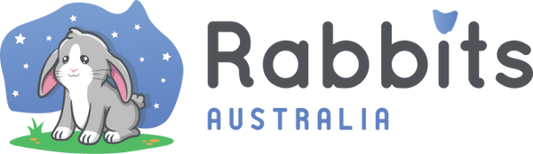 Rabbit Common Illnesses – Rabbits Australia