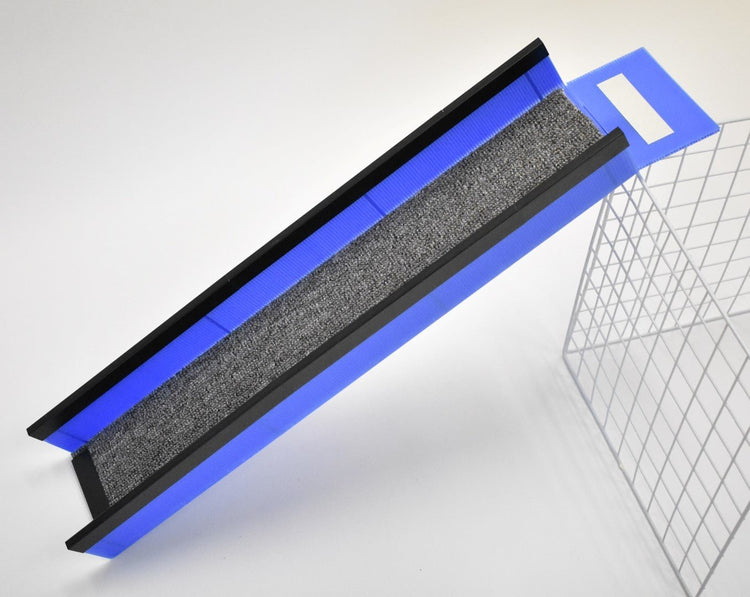 Rabbits Australia | Bunnies Australia